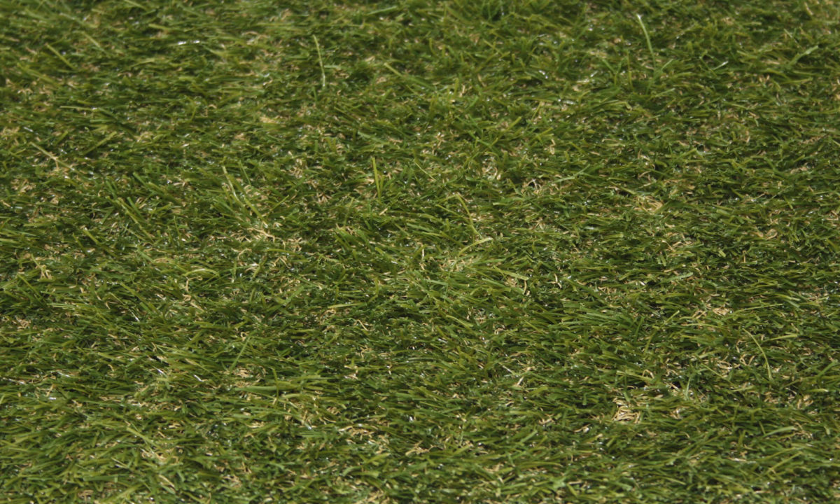 Fireguard 25mm Artificial Grass | Products | LazyLawn