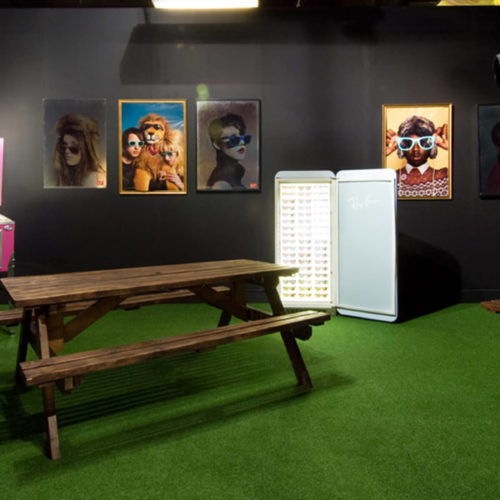 Funky Coloured Artificial Grass | LazyLawn