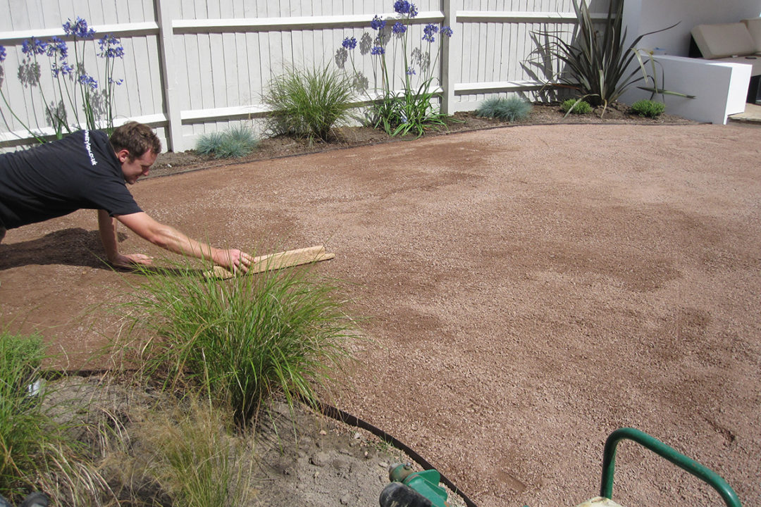 Home Lawn Transformation | Projects By LazyLawn