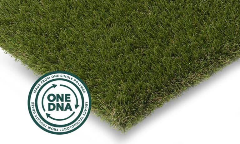 Funky Coloured Artificial Grass | LazyLawn