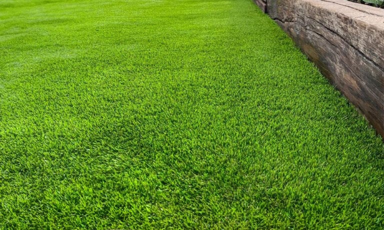Lazy Satin 38mm Artificial Grass | Products | LazyLawn