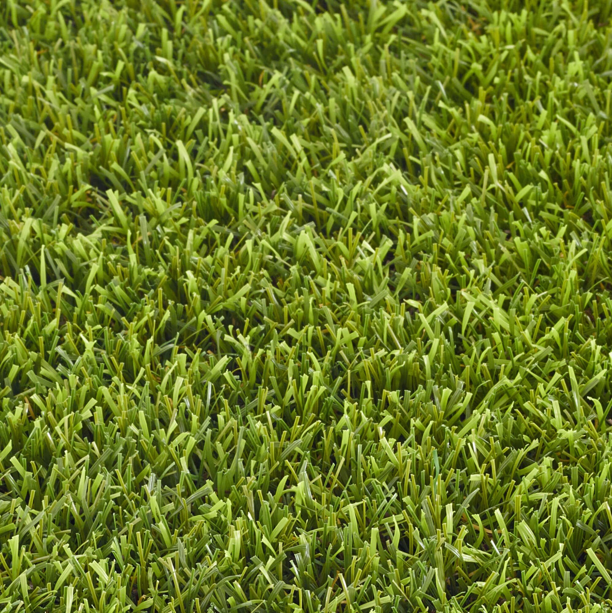 LazyLawn Lazy Supreme 35mm Pet Friendly Artificial Grass