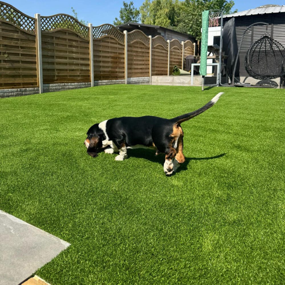 LazyLawn Lazy Supreme 35mm Pet Friendly Artificial Grass